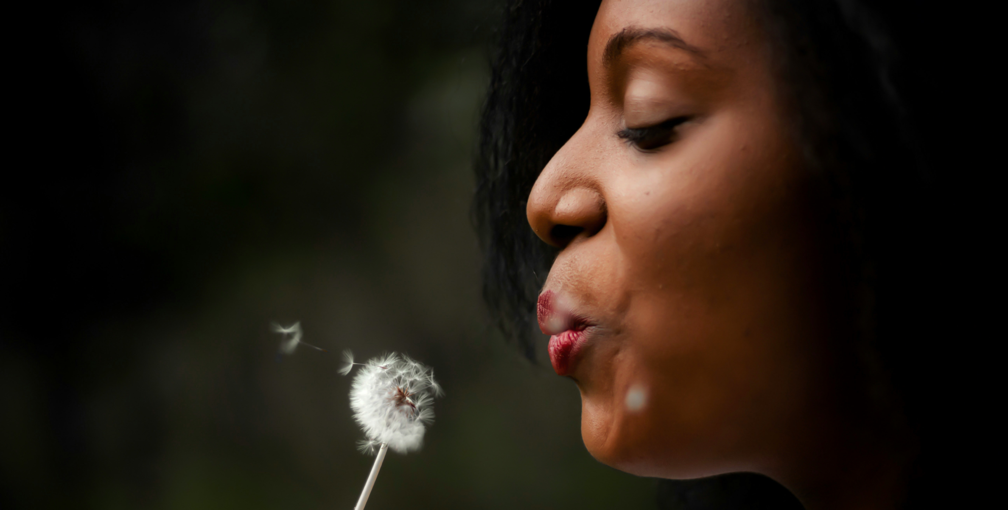 Canadian Women of Colour Leadership Network | Resources - Canadian ...